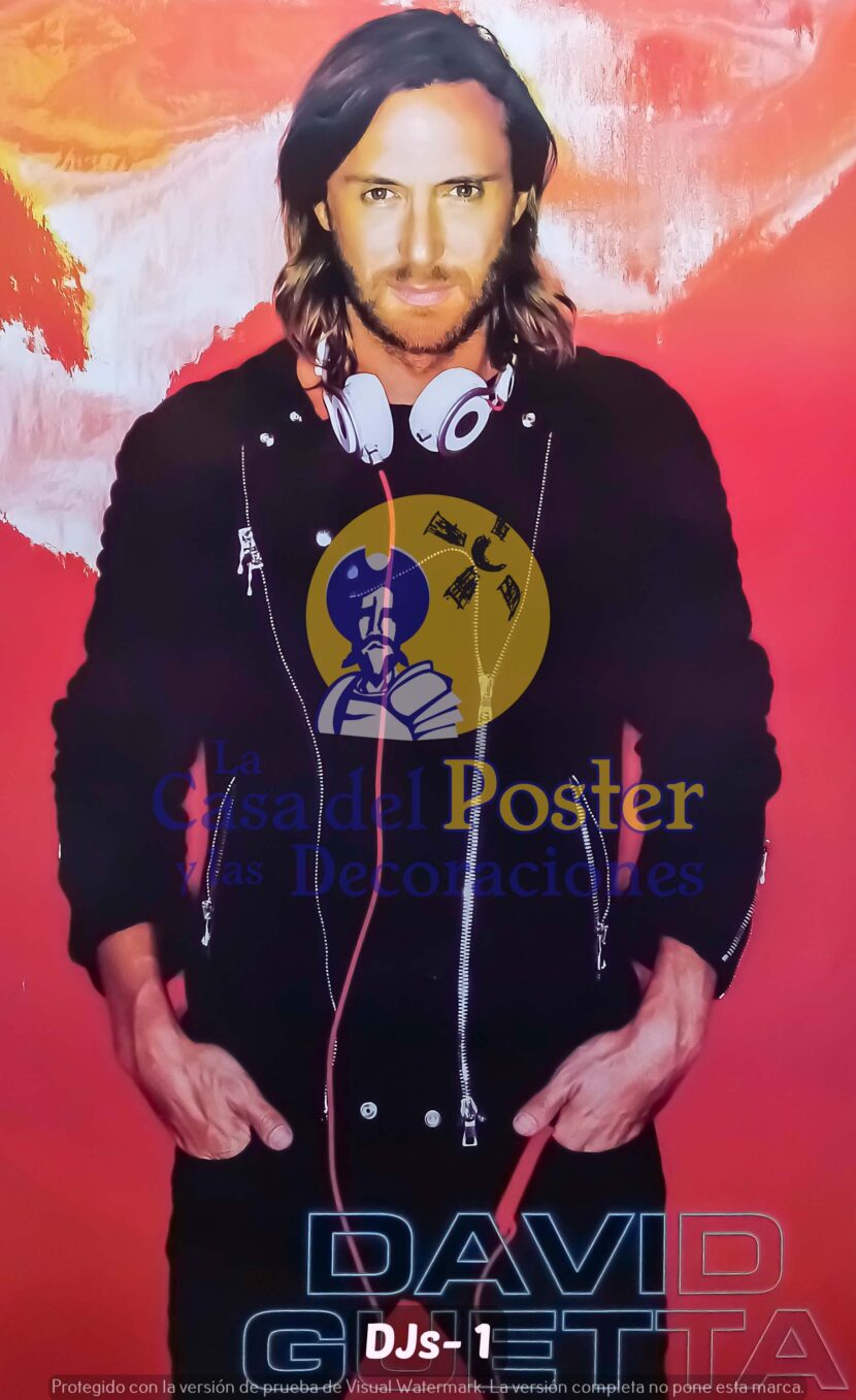 David Guetta / DJs – 1 – La Casa del Poster